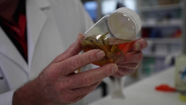 Marine Scientists At Work