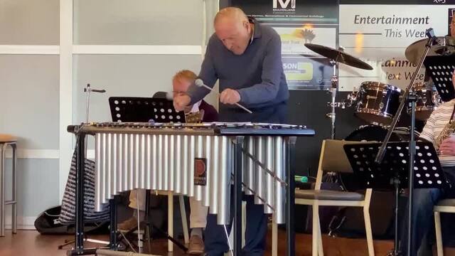 Vibraphone Player