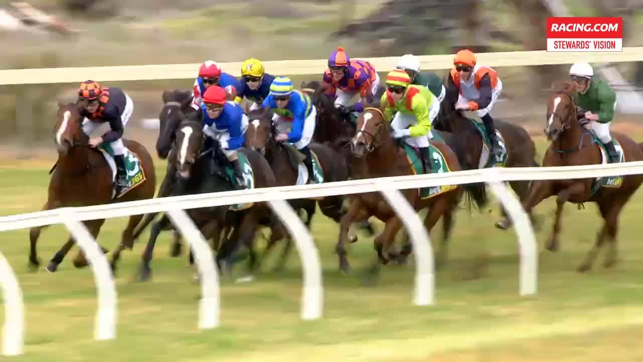 Donald Race 01-Stewards Vision-20-06-20 | RACING.COM