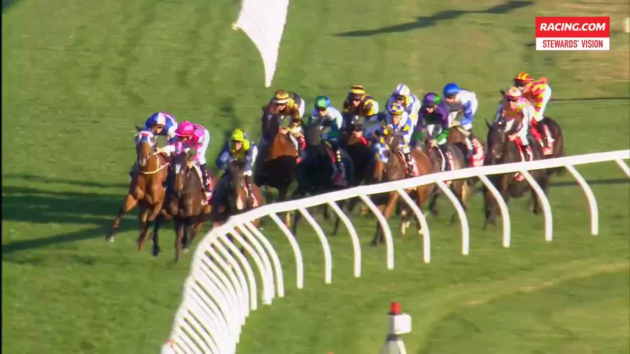 Sale Race 08-Stewards Vision-10-06-20 | RACING.COM