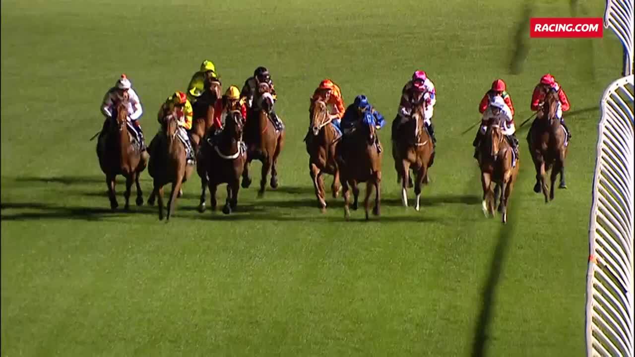 Lankan Rupee - G1 Reflections | RACING.COM