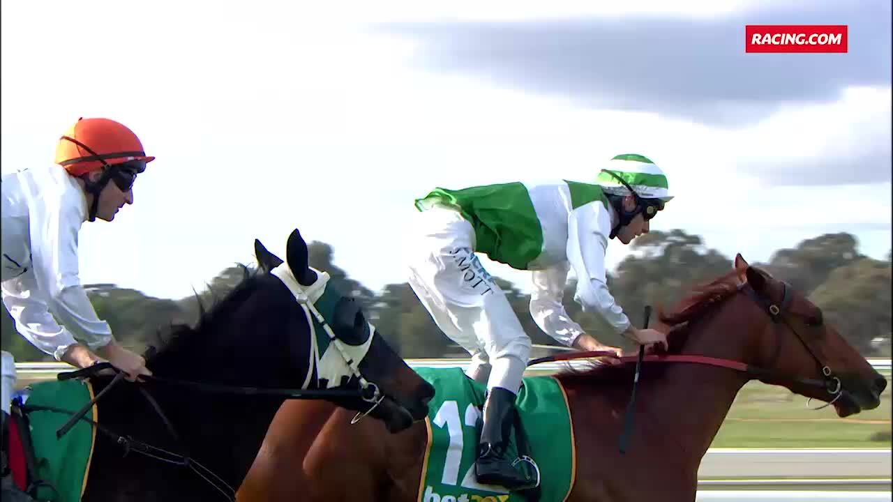 Echuca Race 2 Colin Scott 160619 | RACING.COM