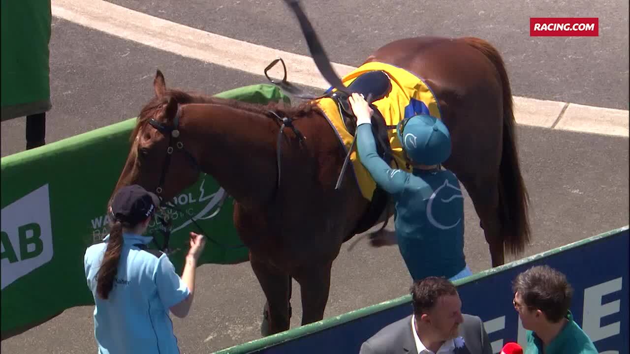 Warrnambool Race 3 Julian Hay 191219 | RACING.COM