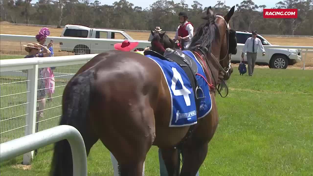 Bordertown Race 4 Sue Murphy 151219 | RACING.COM