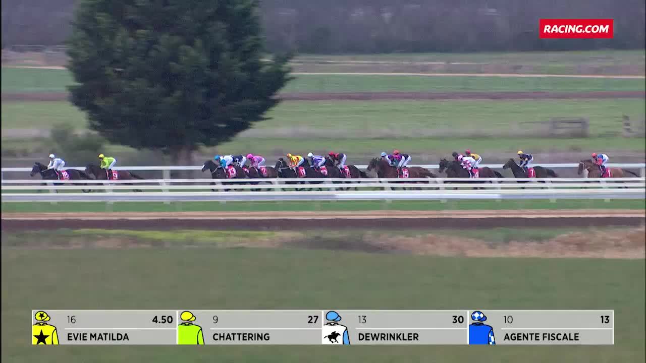 Sale Race 8 120619 | RACING.COM