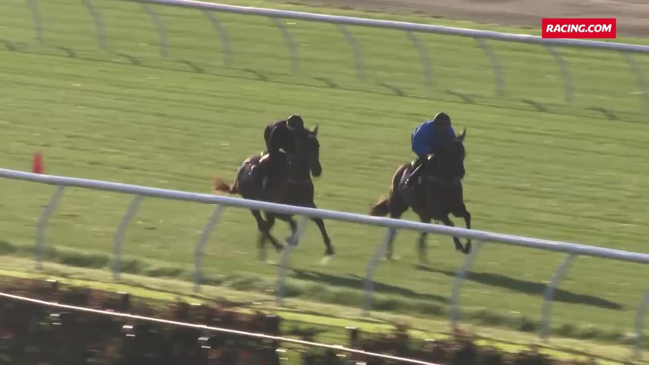 Vow and Declare gallop | RACING.COM