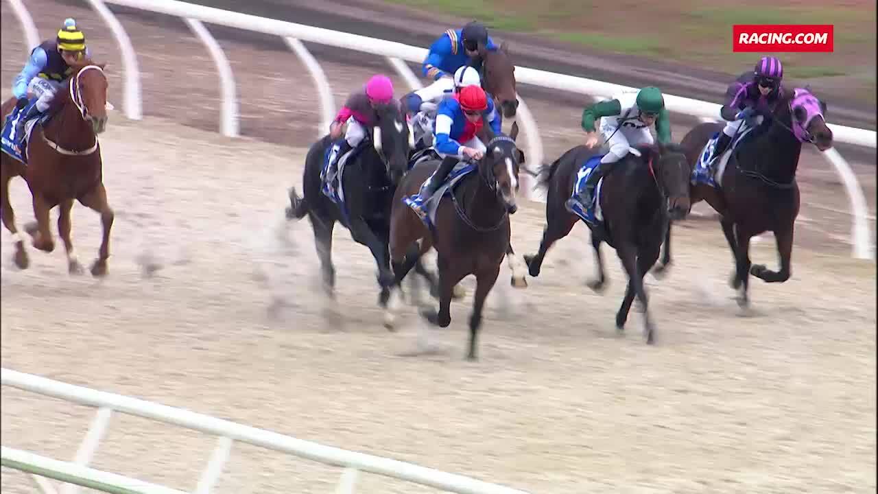 SportsbetBallarat Synthetic Race 7 Archie Alexander 120519 | RACING.COM