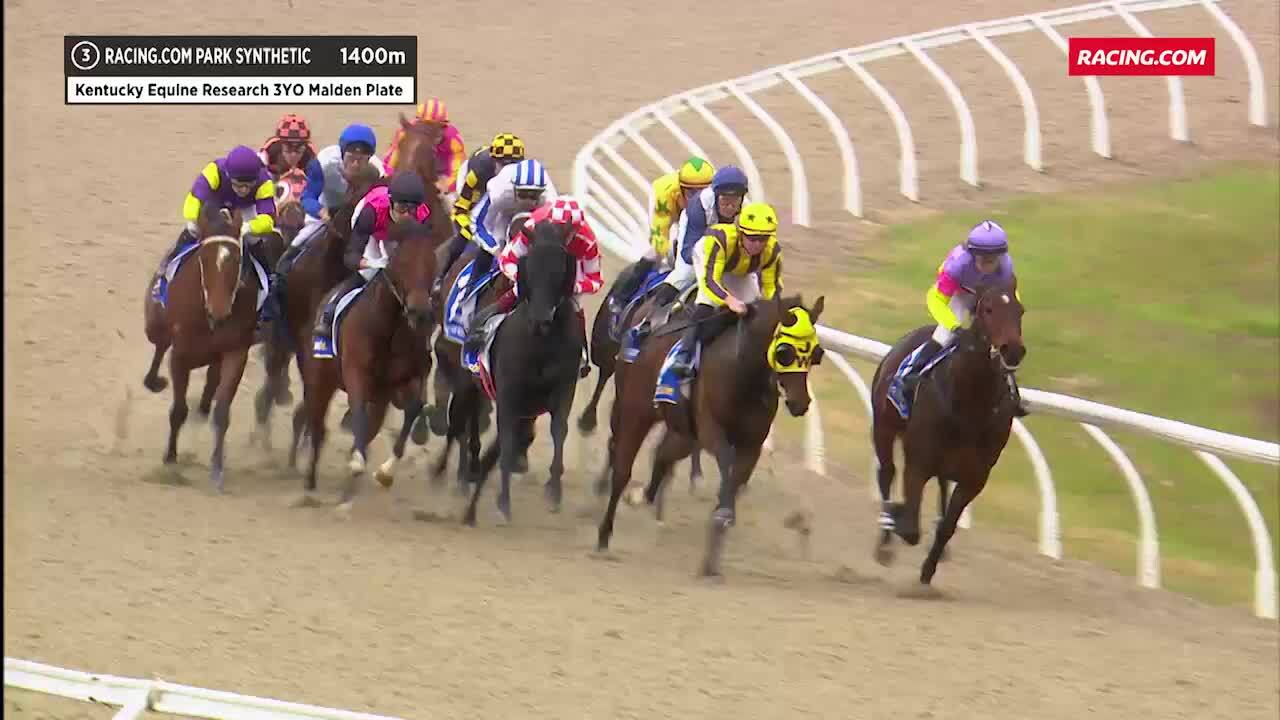 Racingcom Park Synthetic Race 3 010620 | RACING.COM