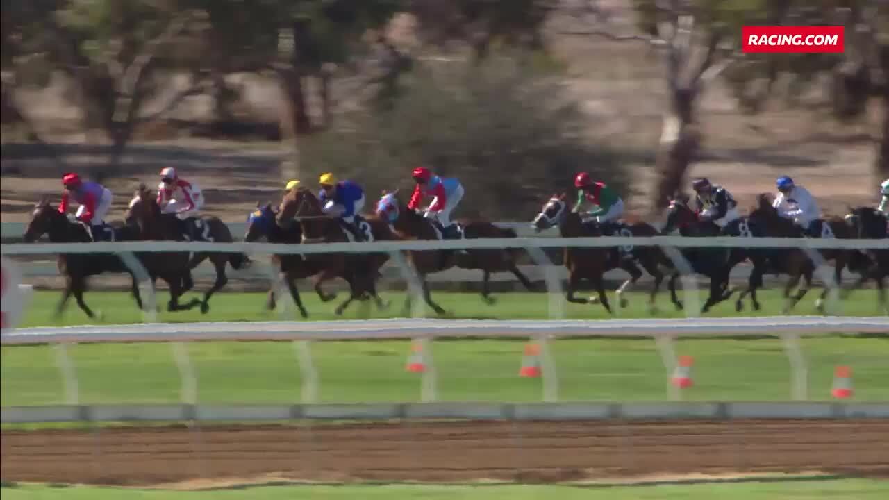 Strathalbyn Race 4 250320 | RACING.COM