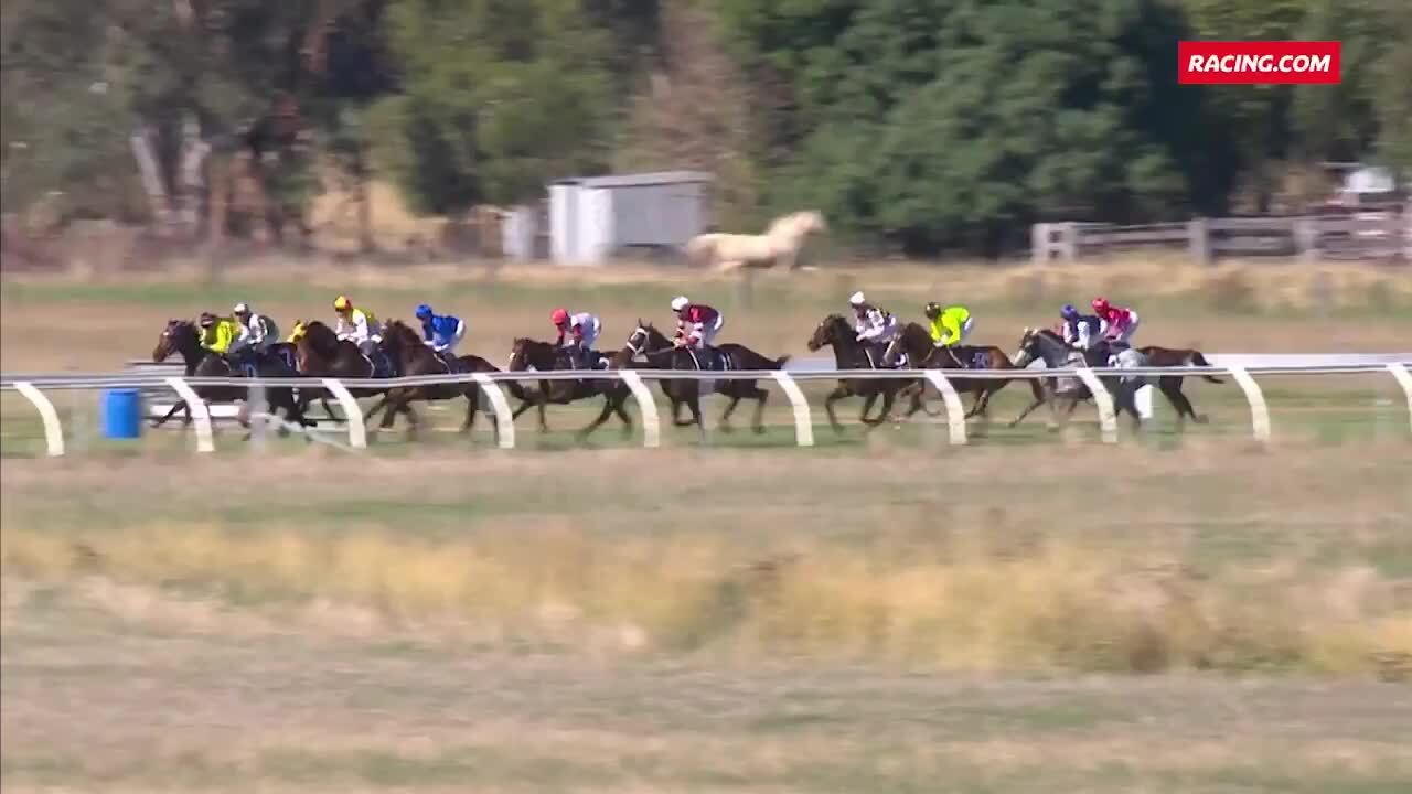 Racing.com