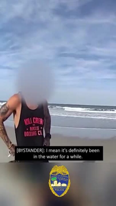 Dog Walk Leads to Discovery of Washed-Up Marijuana Bale | news.com.au ...