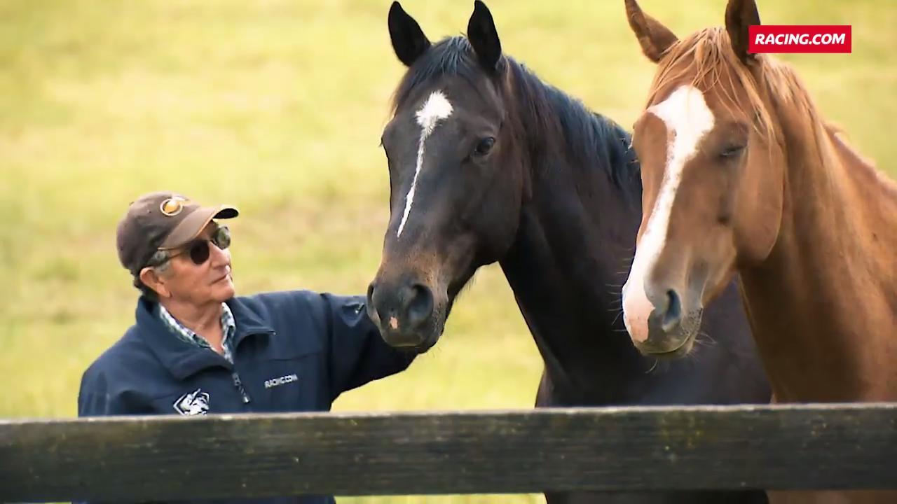 Morgans future plans | RACING.COM