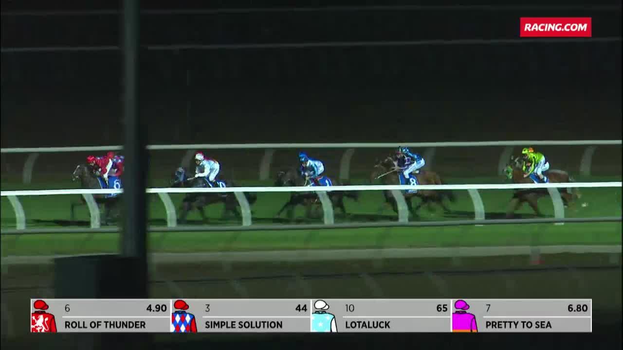 Racingcom Park Race 8 8318 | RACING.COM