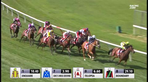 Ladbrokes Park Hillside Race 3 9416 | RACING.COM