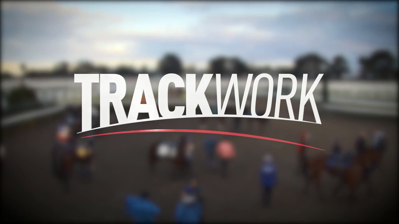 Trackwork - Mick Price | RACING.COM