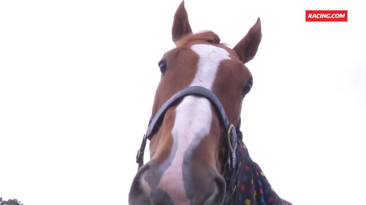 The revival of Lizard Island | RACING.COM