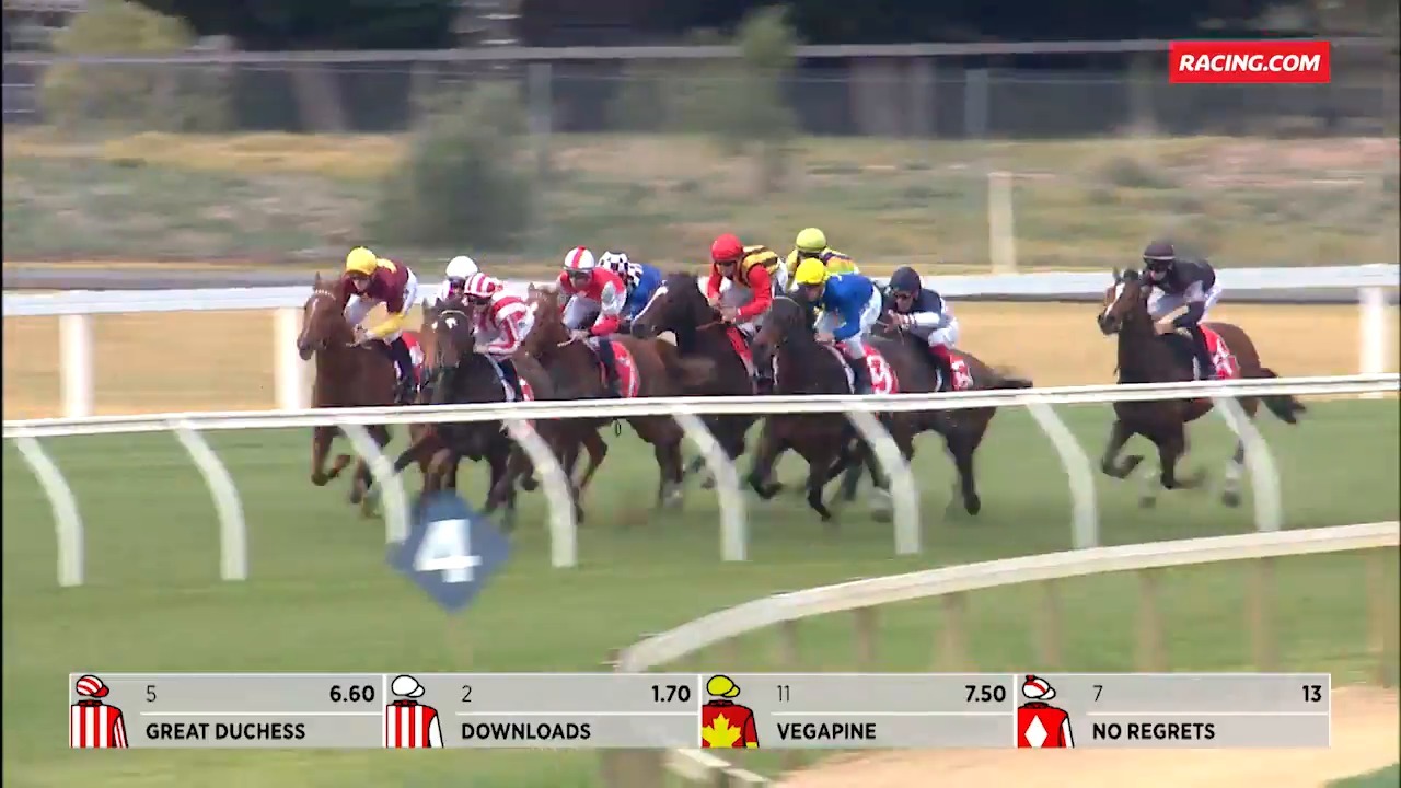 Sale Race 1 16818 | RACING.COM