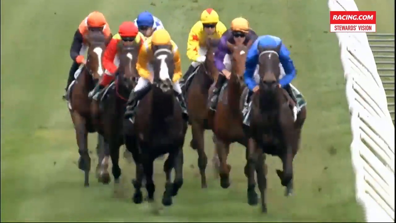 Moonee Valley Race 1 Stewards Vision 27618 | RACING.COM