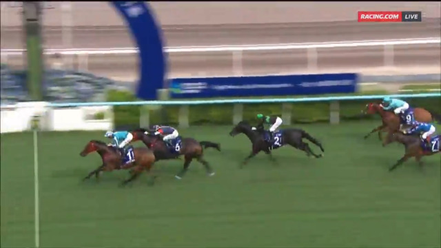 Triple Crown glory for Romantic Warrior