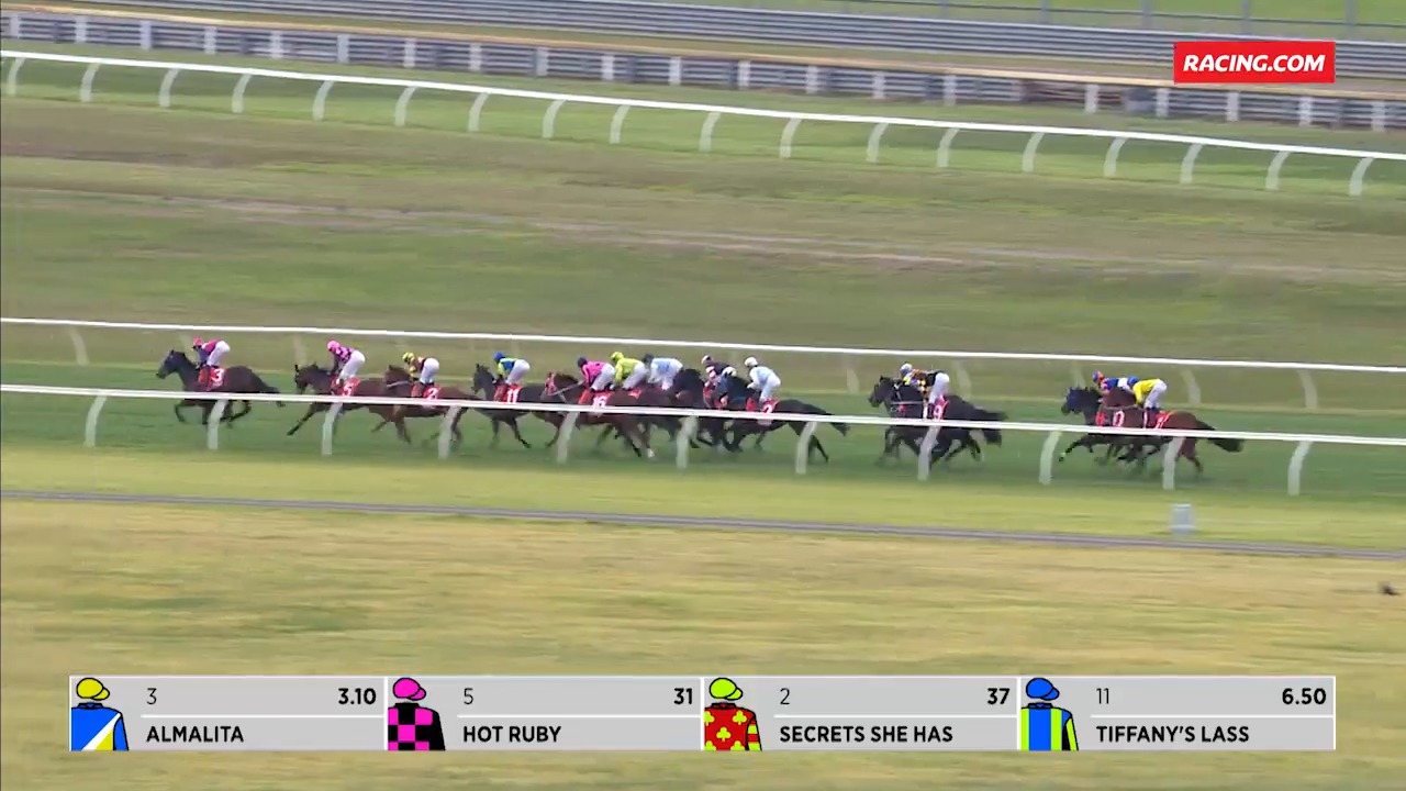 Ladbrokes Park Lakeside Race 5 11718 | RACING.COM