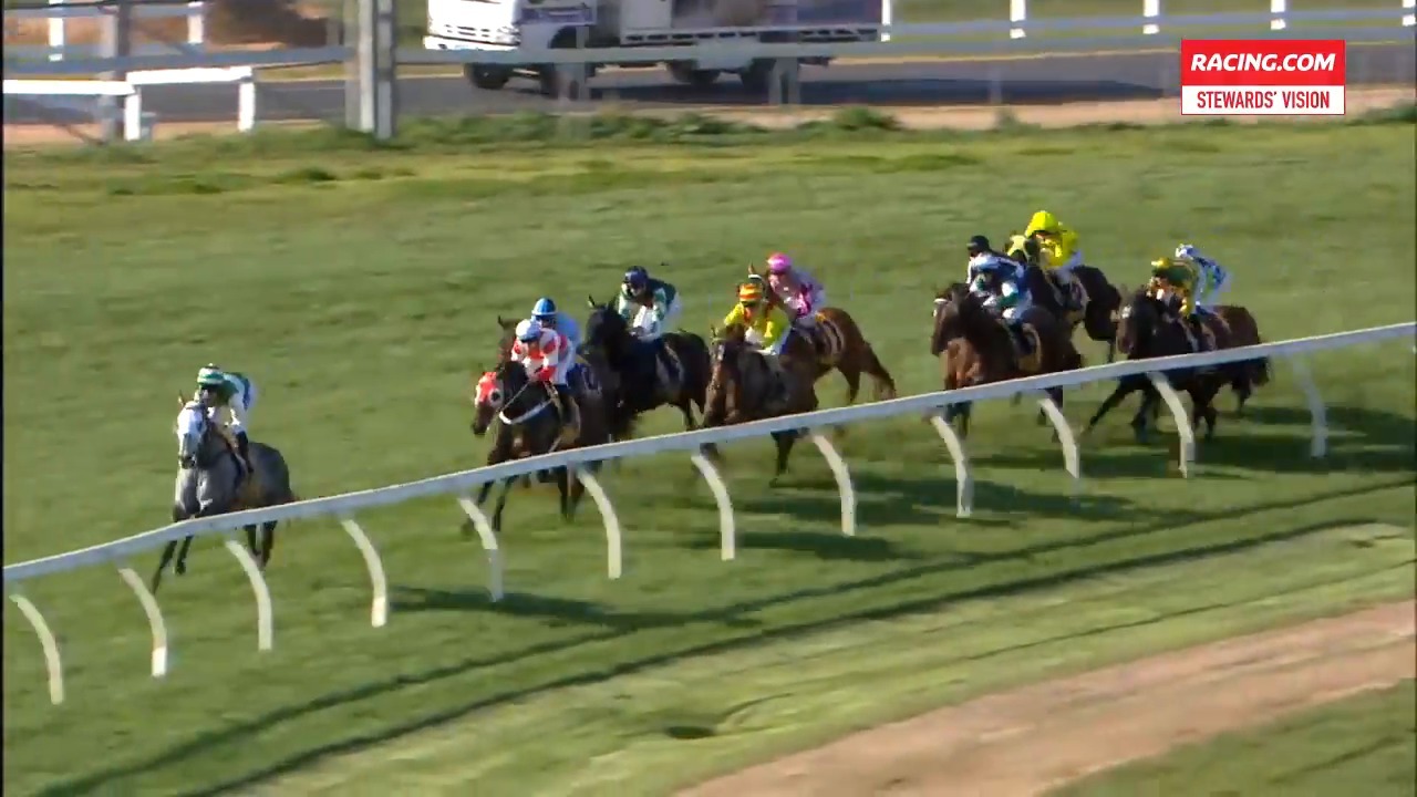 Warrnambool Race 5 Stewards Vision 23818 | RACING.COM