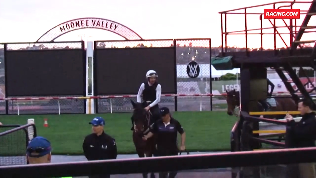 Winx returns to Thew Valley | RACING.COM