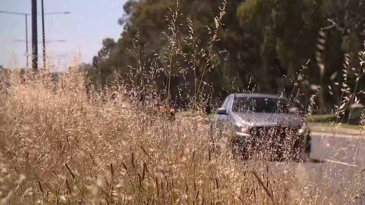 Residents demand highest action as median strips