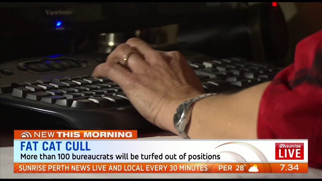 100 Perth fat cats set to be out by March | The West Australian