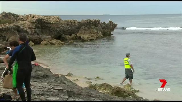 Perth’s beaches swamped by abalone fishers as strict 2018 season ...