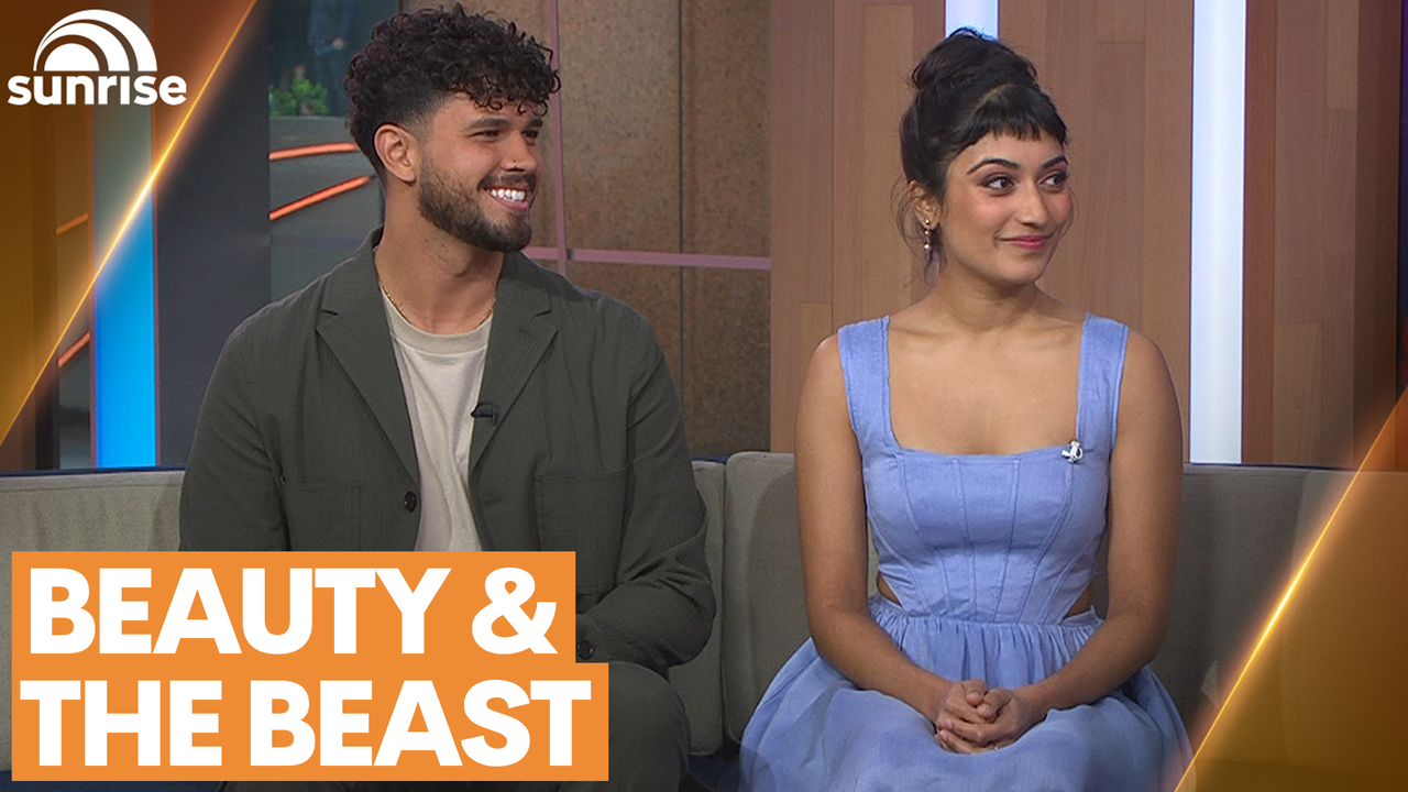 Beauty And The Beast Series Cast