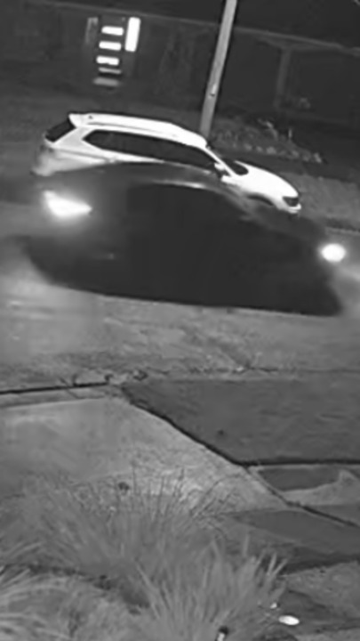 Schoolmates cheer on Aussie Olympic prodigy | Daily Telegraph