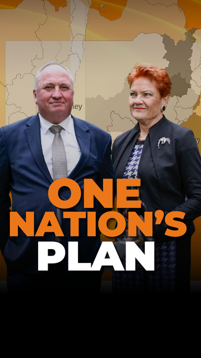 One Nation’s plan to raid several ‘safe seats’ | Daily Telegraph