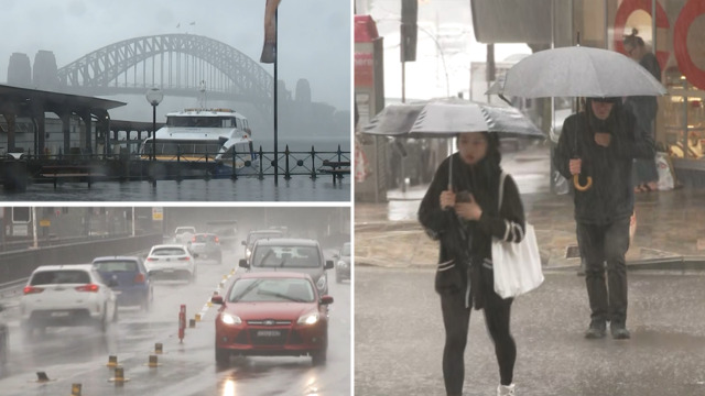 Sydney Rain Memes