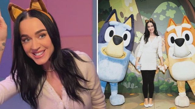 Bluey Celebrity Cameos 60 Photos - Moonagedaydream.film
