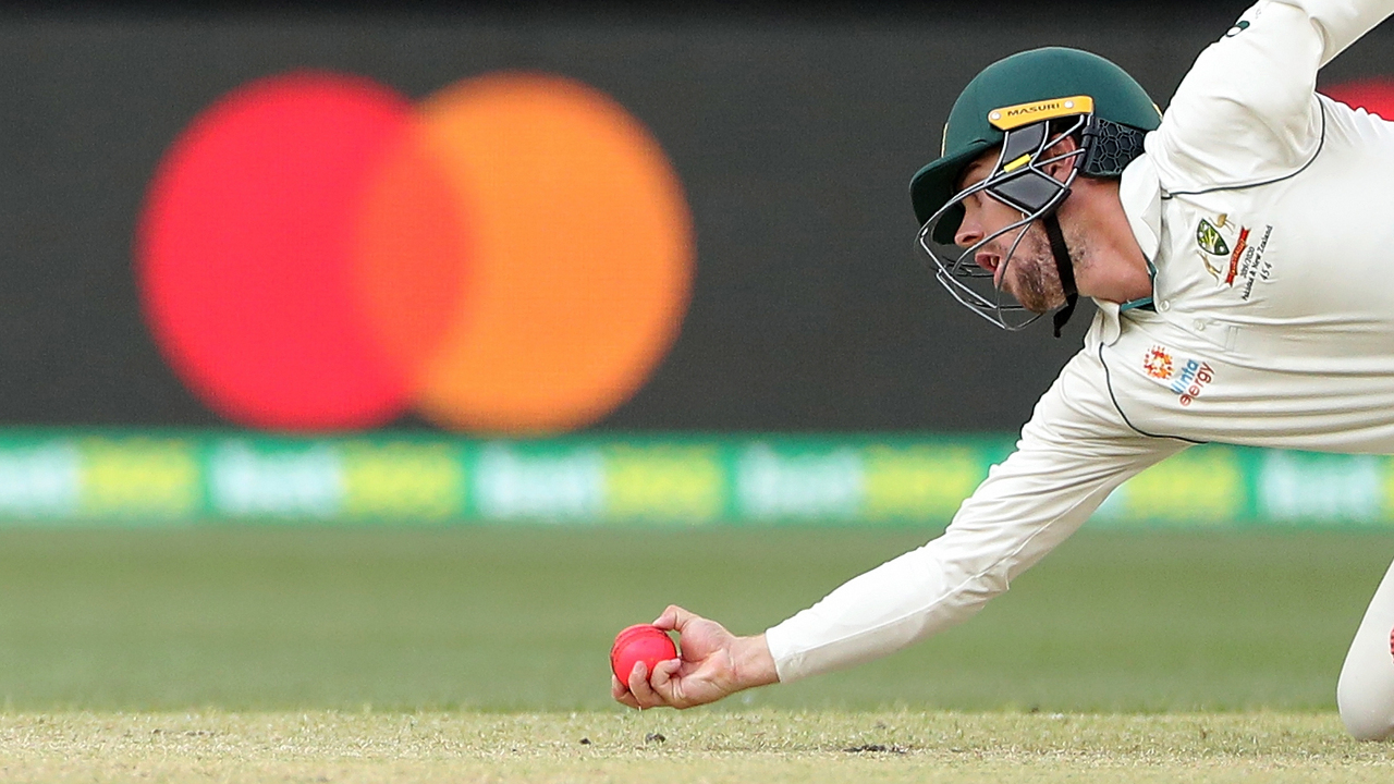 Catch A Cricket Ball